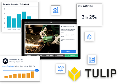 TULIP – "Build your own APP"